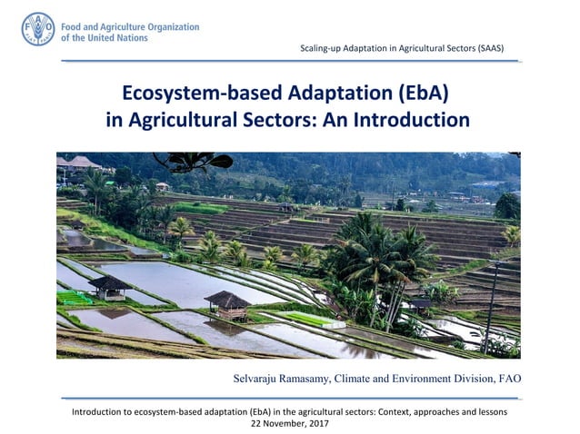 Introduction to ecosystem-based adaptation (EbA) in the agricultural ...