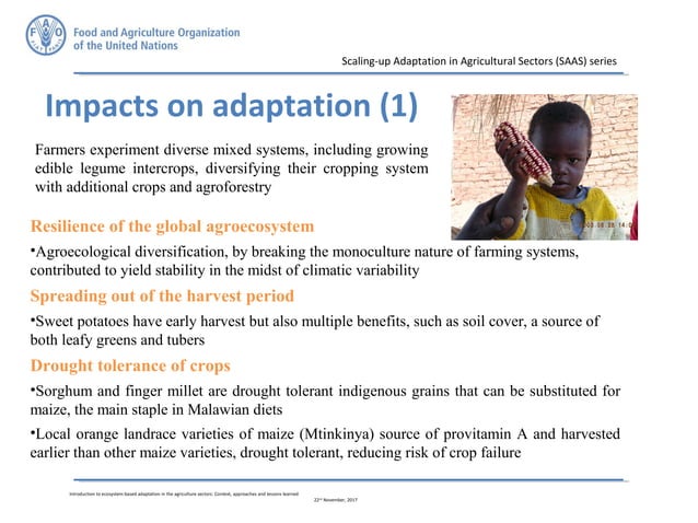 Introduction to ecosystem-based adaptation (EbA) in the agricultural ...