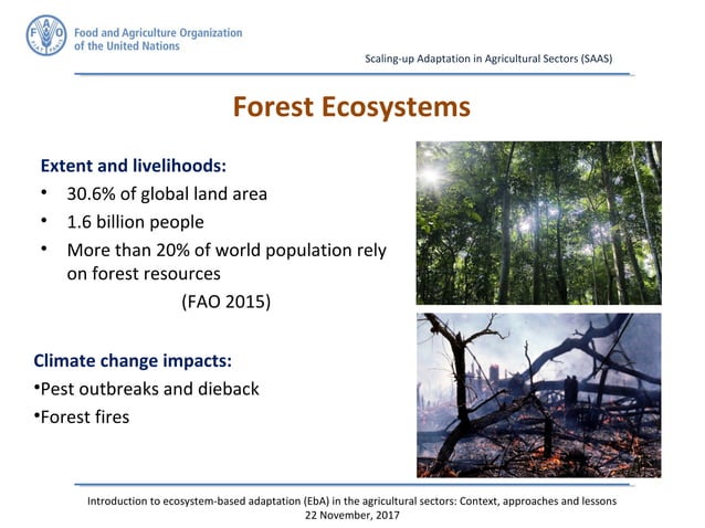 Introduction to ecosystem-based adaptation (EbA) in the agricultural ...