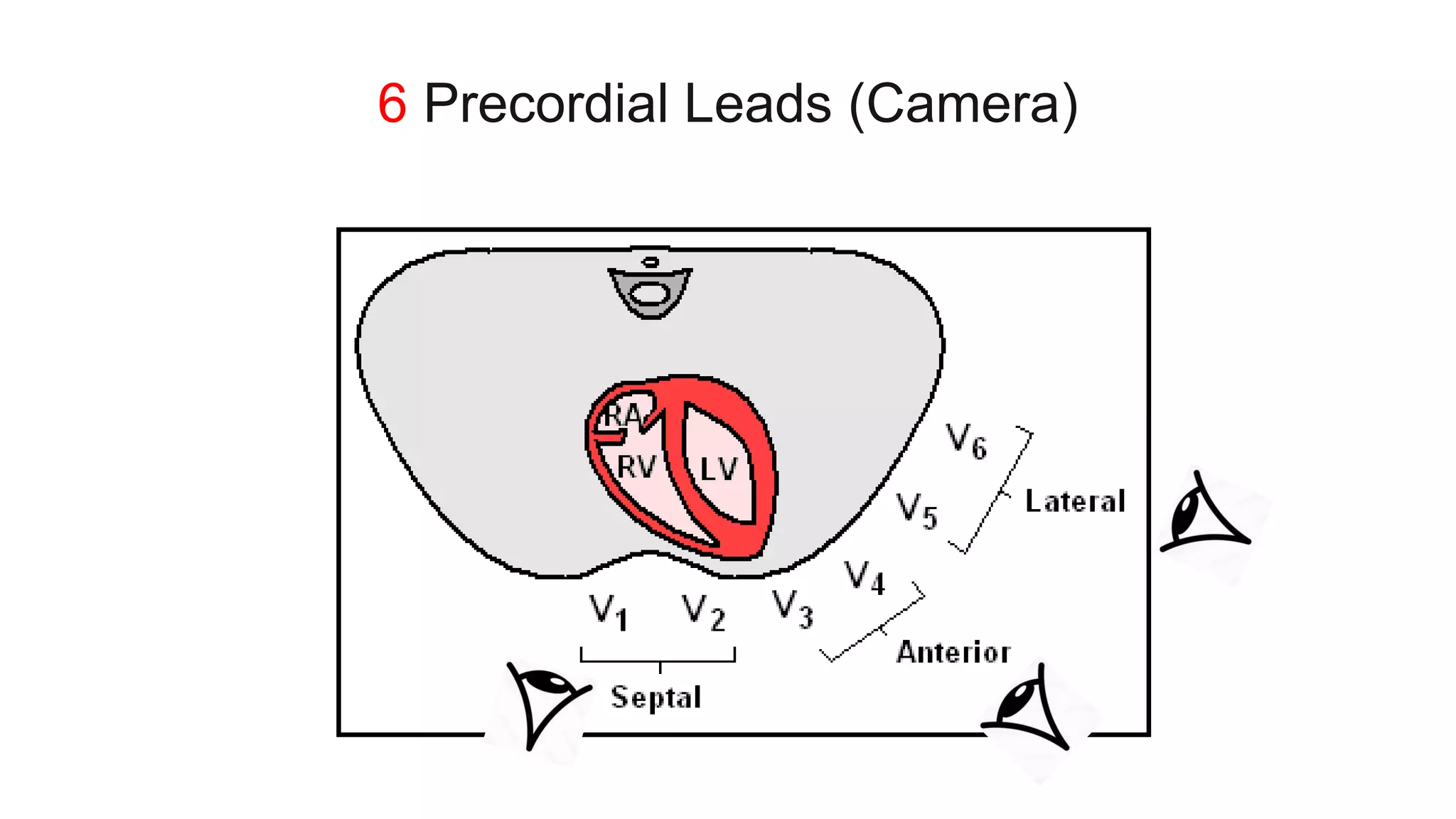 ECG made easy | PDF