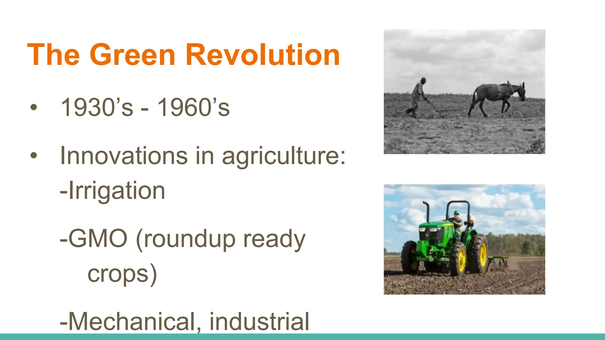 Final Econ Presentation_ Malthus and the Green Revolution.pptx