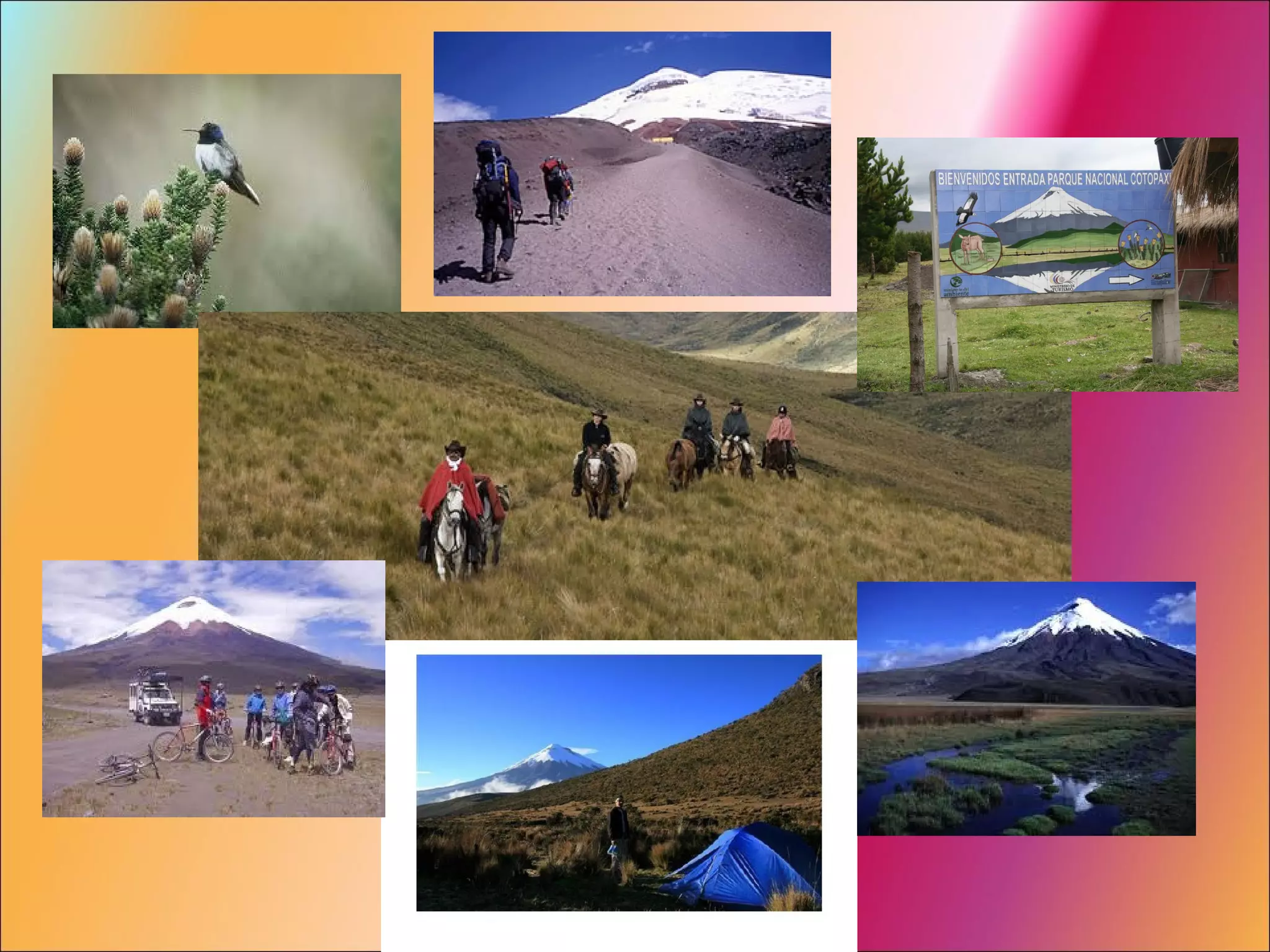 Final ecuador presentation | PPT