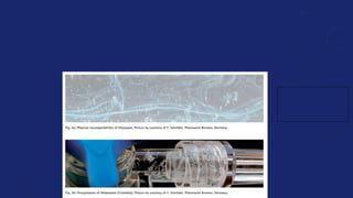 Incompatibilities of drug admixtures | PPTX