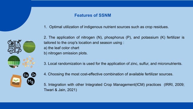 SSNM | PPTX | Agriculture | Industries