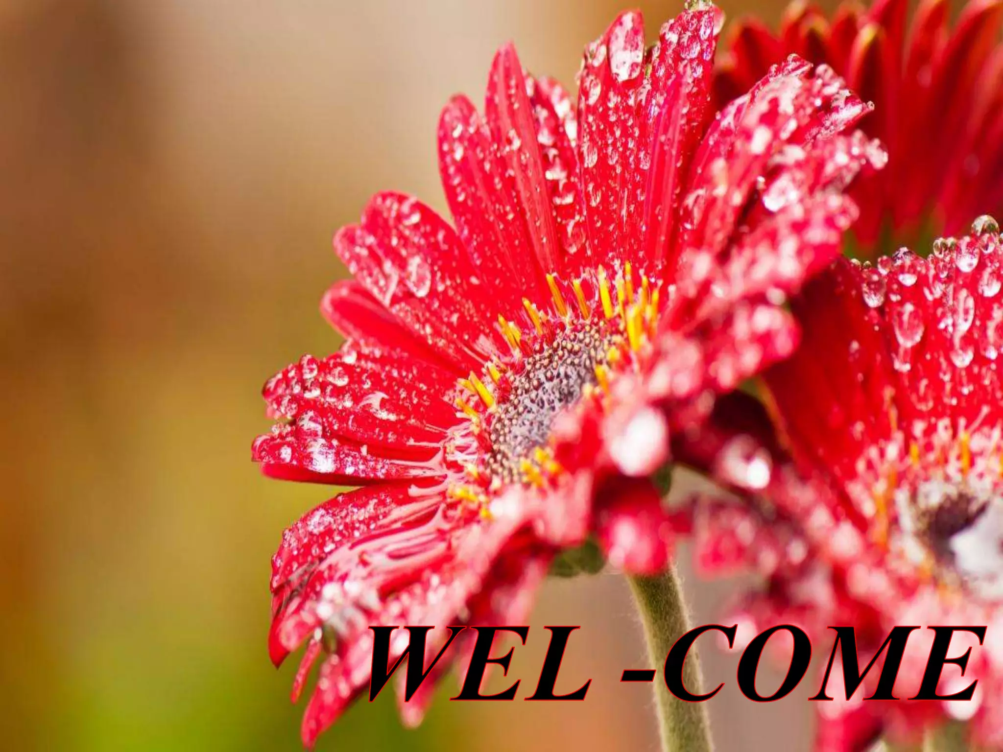 APPLICATION OF MUTATION BREEDING IN FIELD CROPS | PPTX