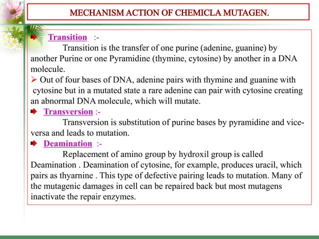 APPLICATION OF MUTATION BREEDING IN FIELD CROPS | PPTX