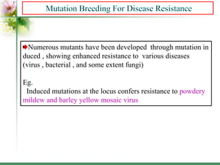 APPLICATION OF MUTATION BREEDING IN FIELD CROPS | PPTX
