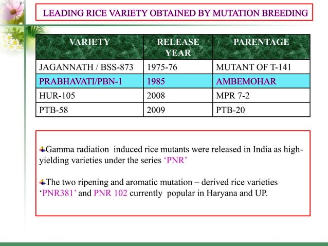 APPLICATION OF MUTATION BREEDING IN FIELD CROPS | PPTX