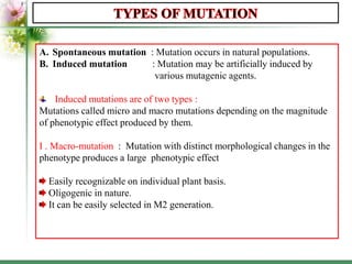 APPLICATION OF MUTATION BREEDING IN FIELD CROPS | PPTX