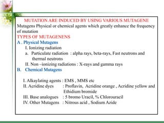 APPLICATION OF MUTATION BREEDING IN FIELD CROPS | PPTX