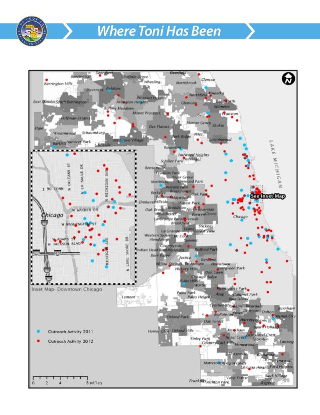 2012 Cook County Government Midterm Report