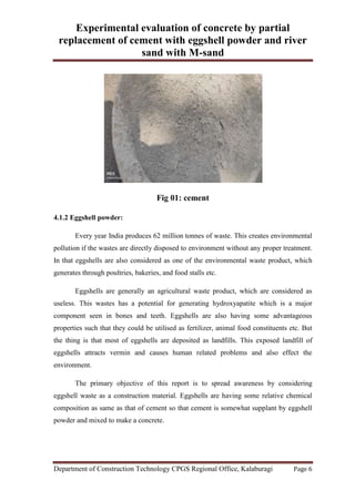 Final Eggshell report-1-1 (1)-2(1).docx