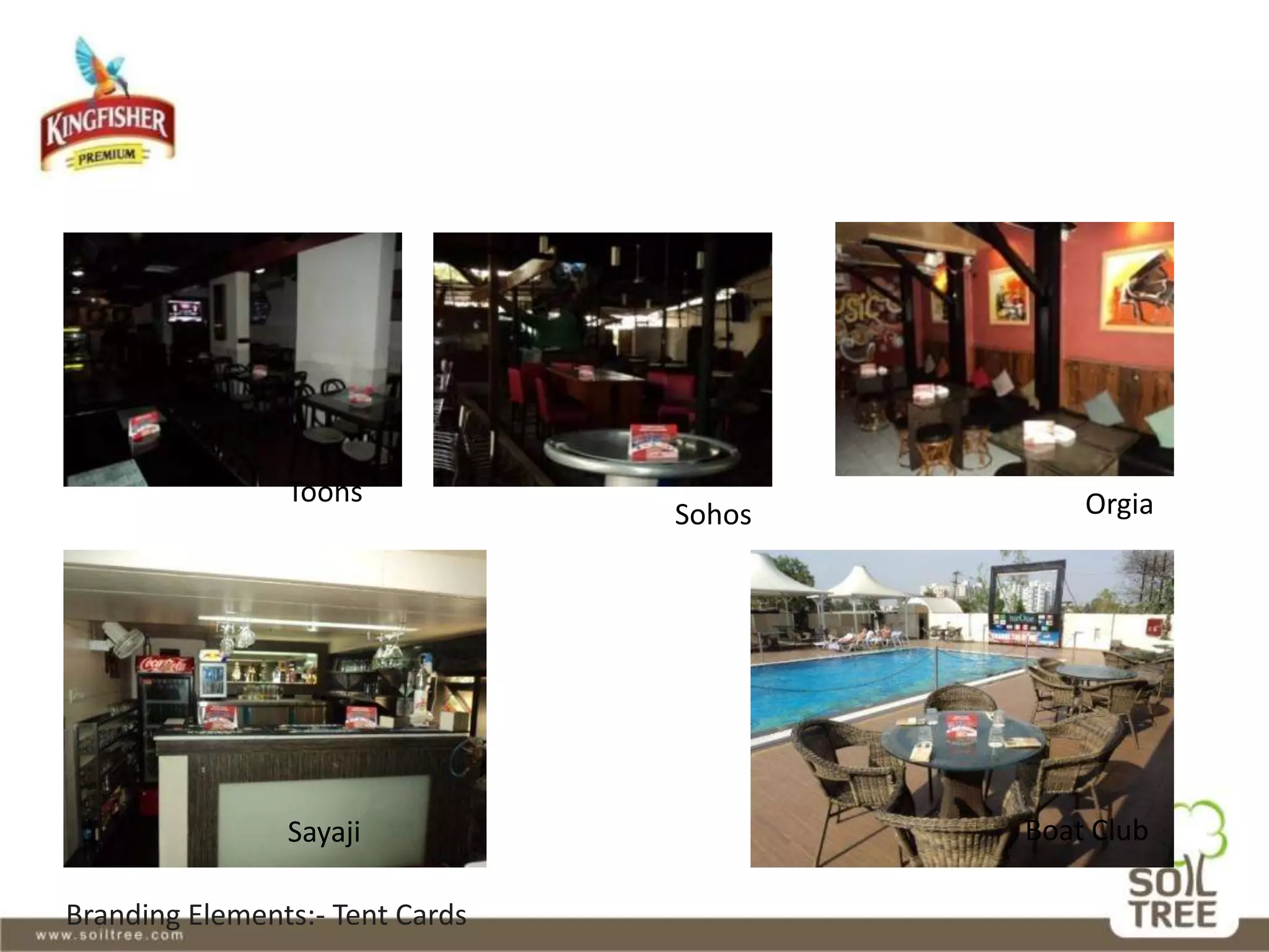 Case Study: Kingfisher IPL Activity by Soil Tree | PPTX