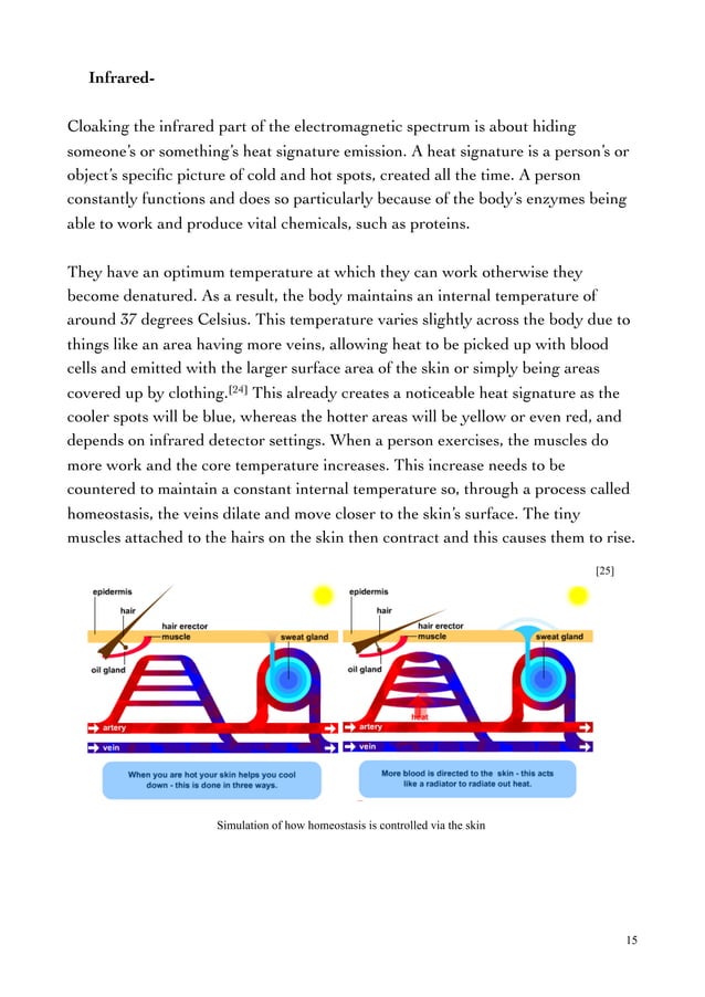 My Extended Project Qualification (EPQ) | PDF