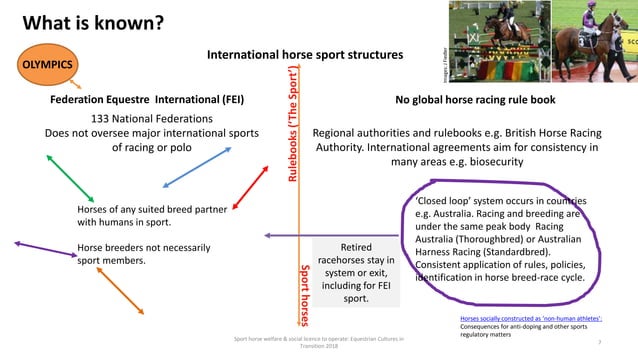 Sport horse welfare & social licence to operate | PPT