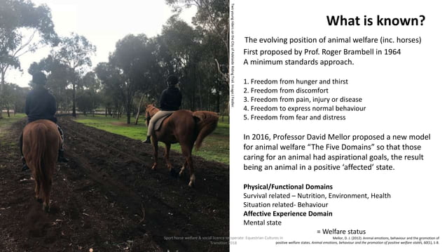 Sport horse welfare & social licence to operate | PPT