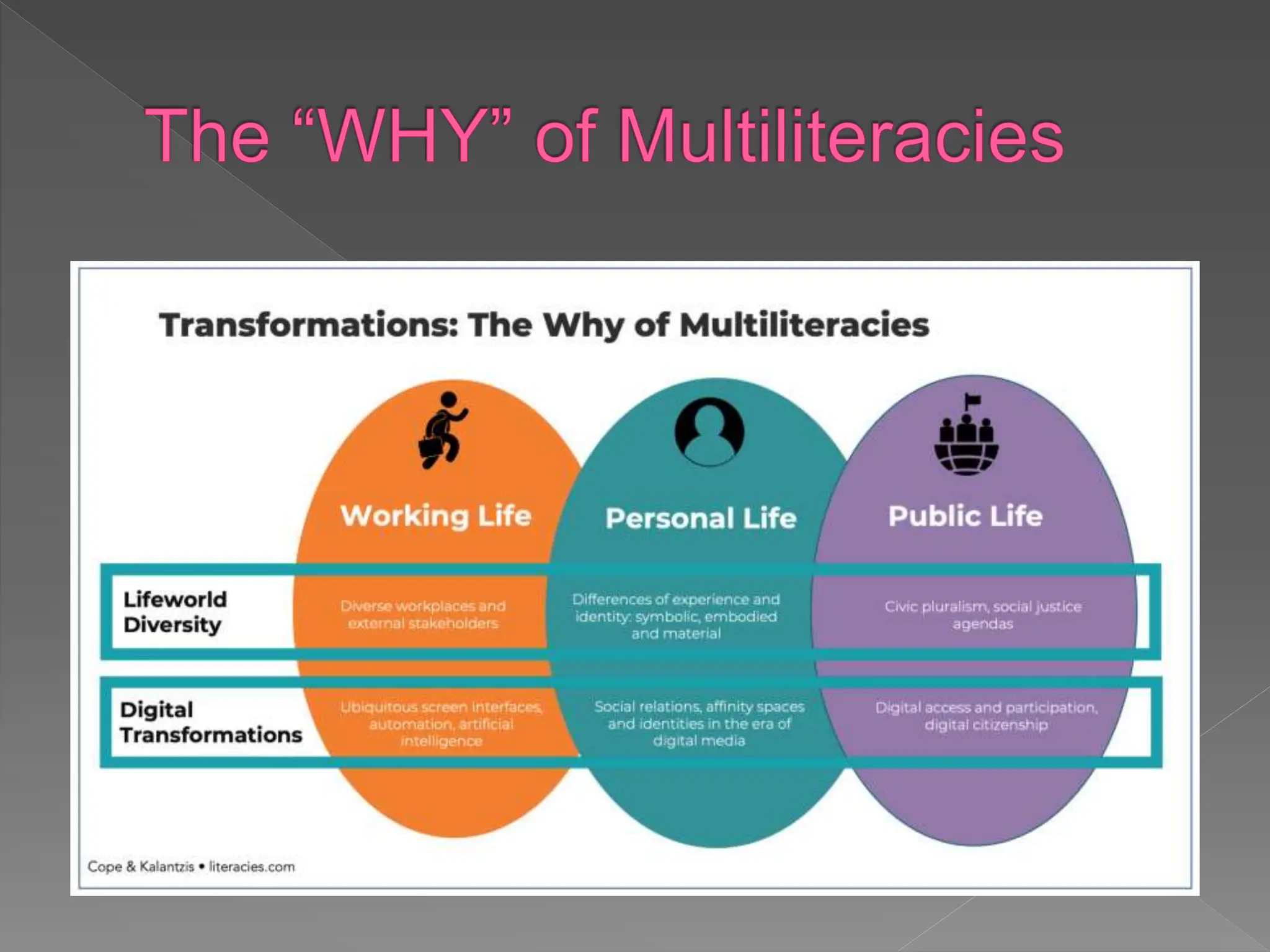 Final Essay LRM 50 ppt.pptx