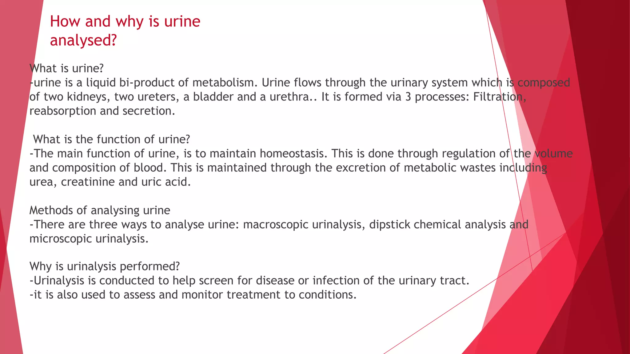 Final essay presentation | PPTX