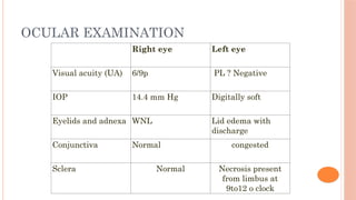 final evisceration ppt 2.pptx................ | PPTX