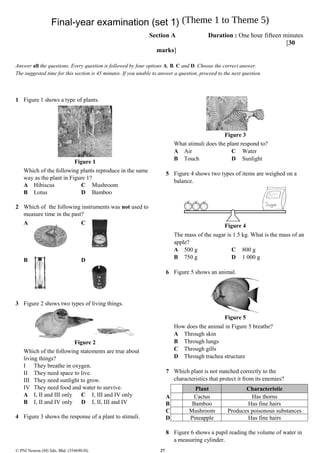 Final examination 1 | PDF