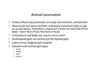 Summarization of what is the biomechanics | PDF