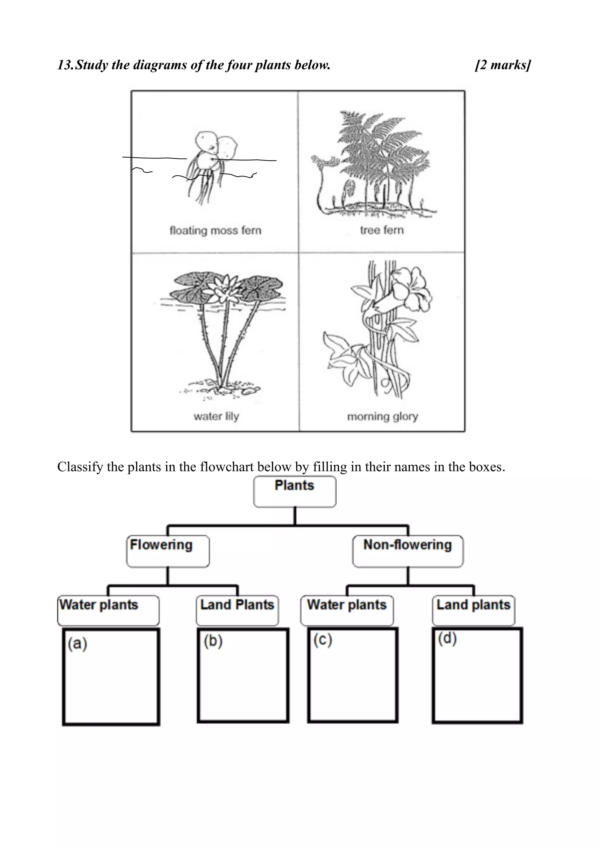 Exam Year 1- Science | PDF