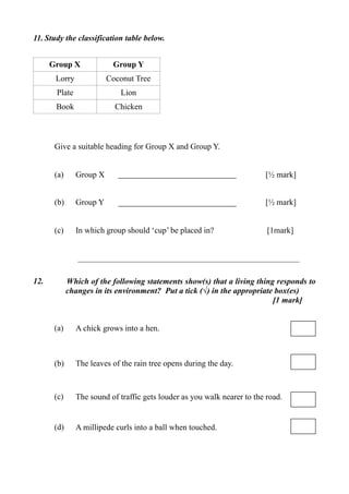 Exam Year 1- Science | PDF