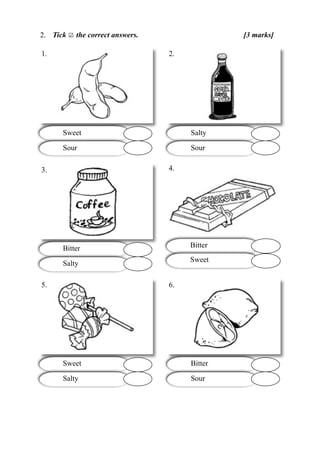 Exam Year 1- Science | PDF