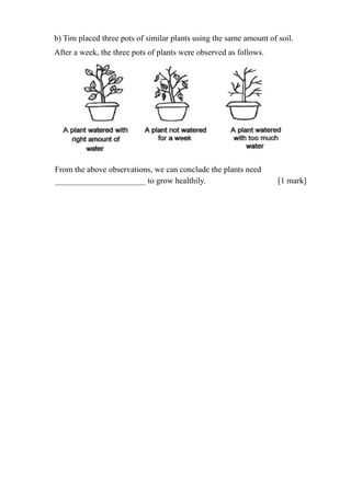Exam Year 1- Science | PDF