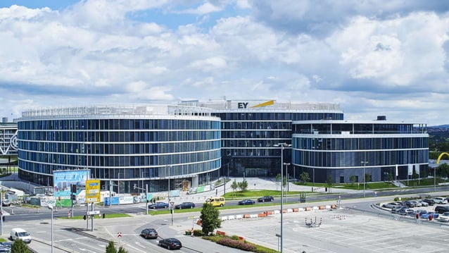 Final ey ppt 1 | PPTX | Business Administration | Business