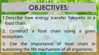 Presentation for Food chain process.pptx