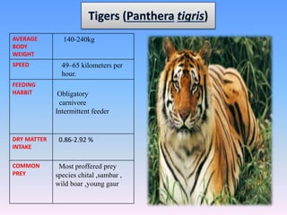 Final feeding stratergies of zoo animal | PPTX
