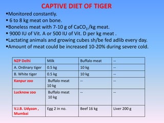 Final feeding stratergies of zoo animal | PPTX