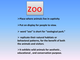 Final feeding stratergies of zoo animal | PPTX