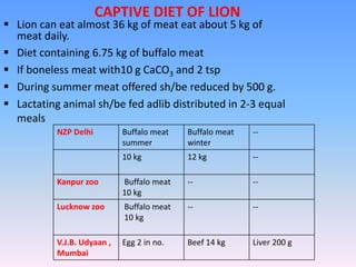 Final feeding stratergies of zoo animal | PPTX