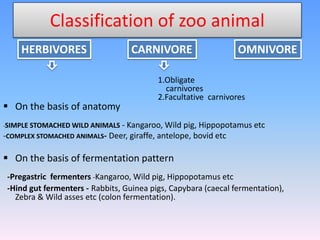Final feeding stratergies of zoo animal | PPTX