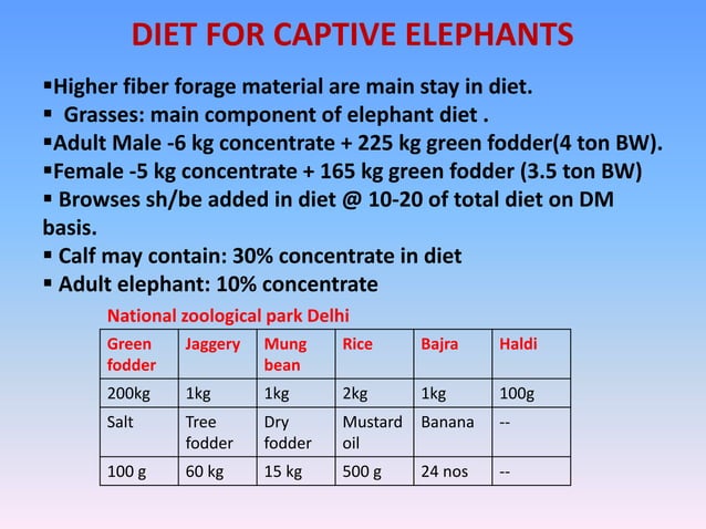 Final feeding stratergies of zoo animal | PPTX | Zoos & Aquariums ...