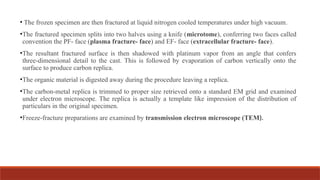 FFM { Freeze Fracture Microscopy } Techniques | PPTX