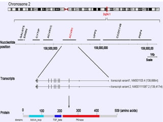 Fibrodysplasia Ossificans Progressiva Gene