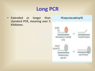 Types of PCR | PPTX