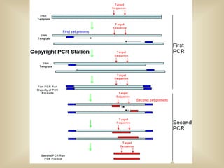 Types of PCR | PPT