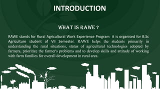 rawe presentation.pptx