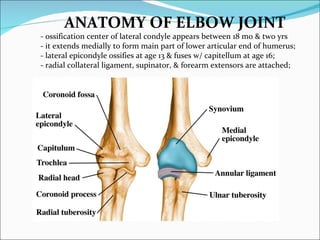 Lateral Condyle Humerus