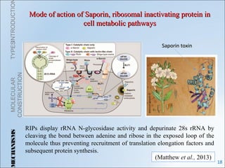 genetic use restriction technology ppt | PPT