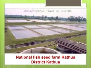 FISHERIES OF JAMMU AND KASHMIR By MOHSIN ALI | PPTX