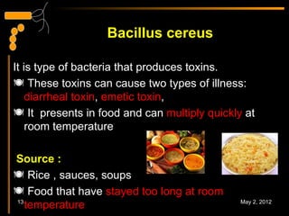 Types Of Bacteria In Food