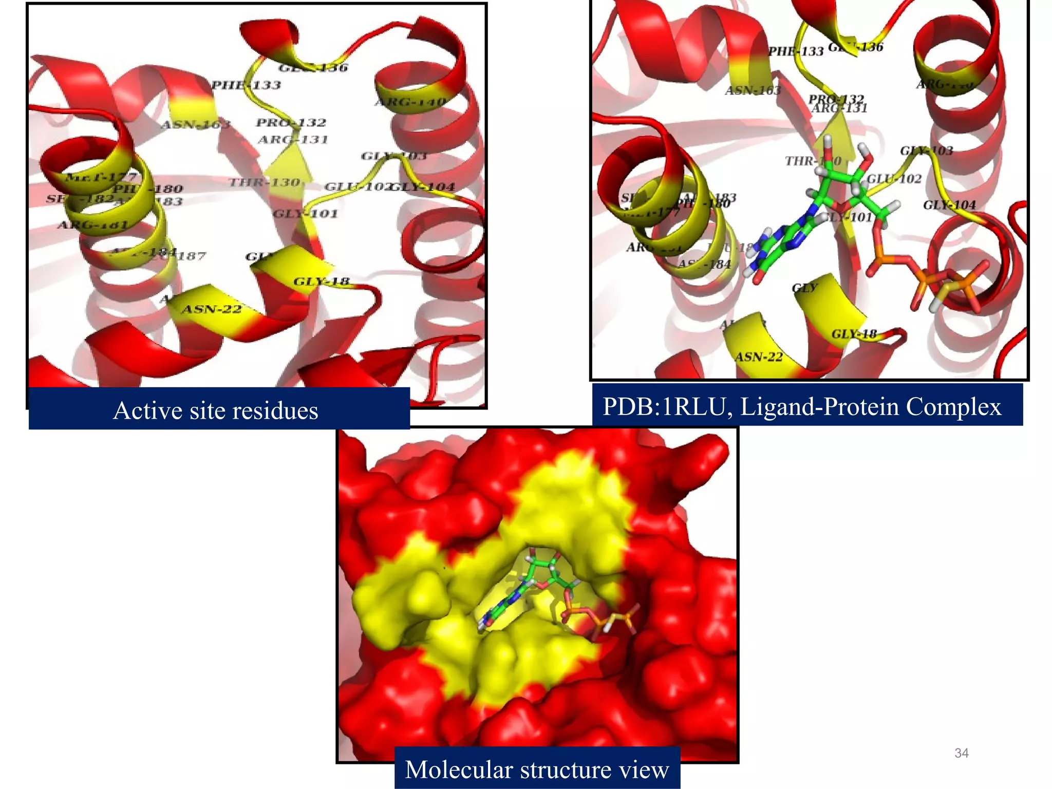 Exploration of a potential FtsZ inhibitors as new scaffolds by Ligand ...
