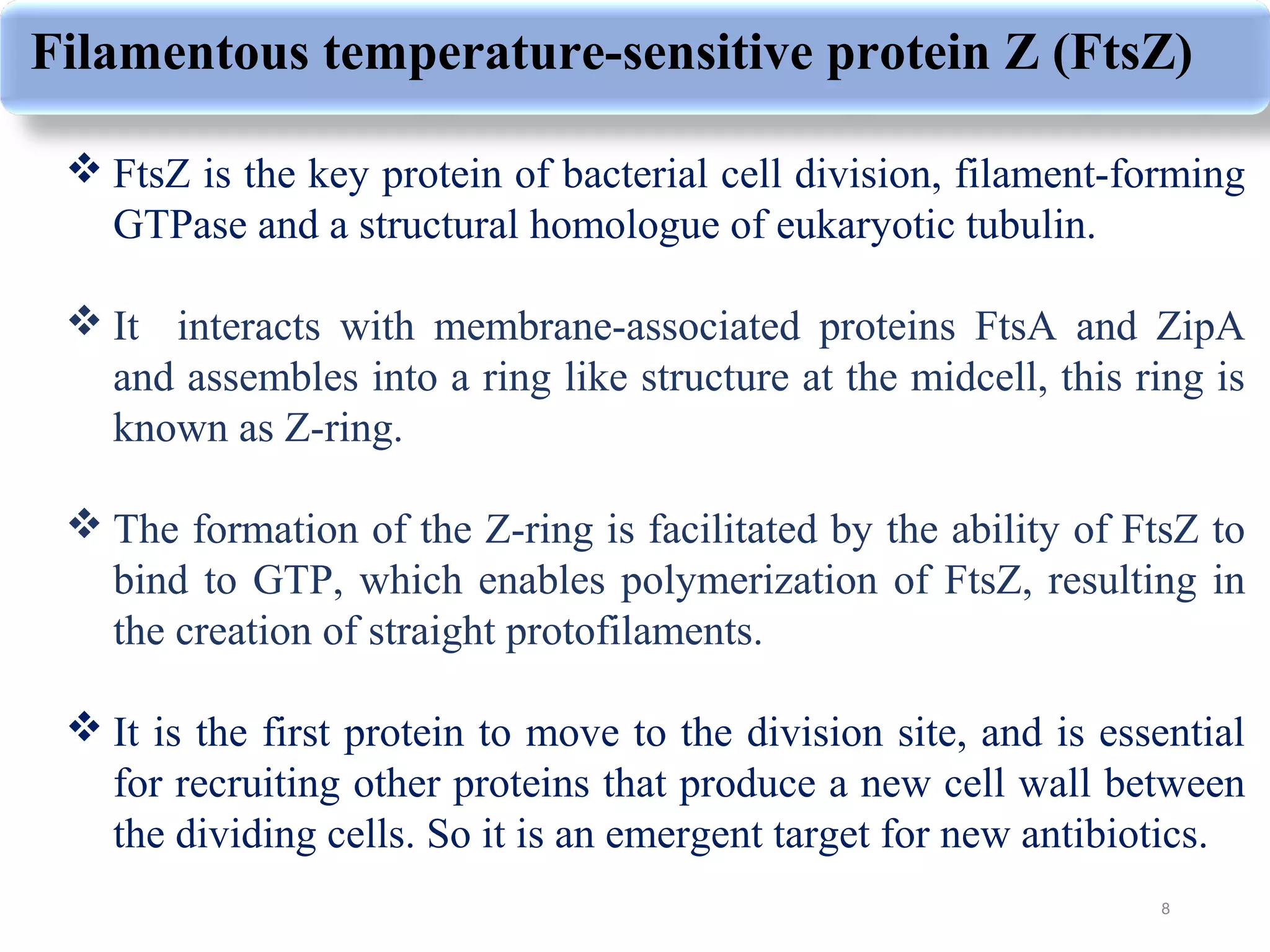 Exploration of a potential FtsZ inhibitors as new scaffolds by Ligand ...