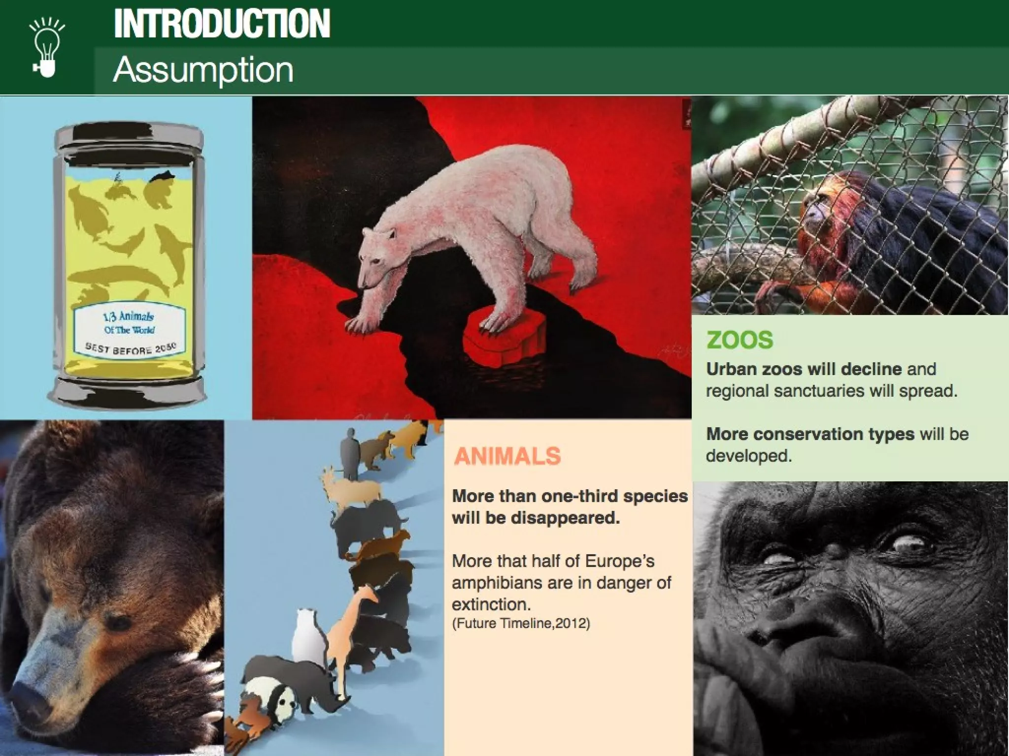 Shaping the future of Zoos | PPT | Zoos & Aquariums | Attractions