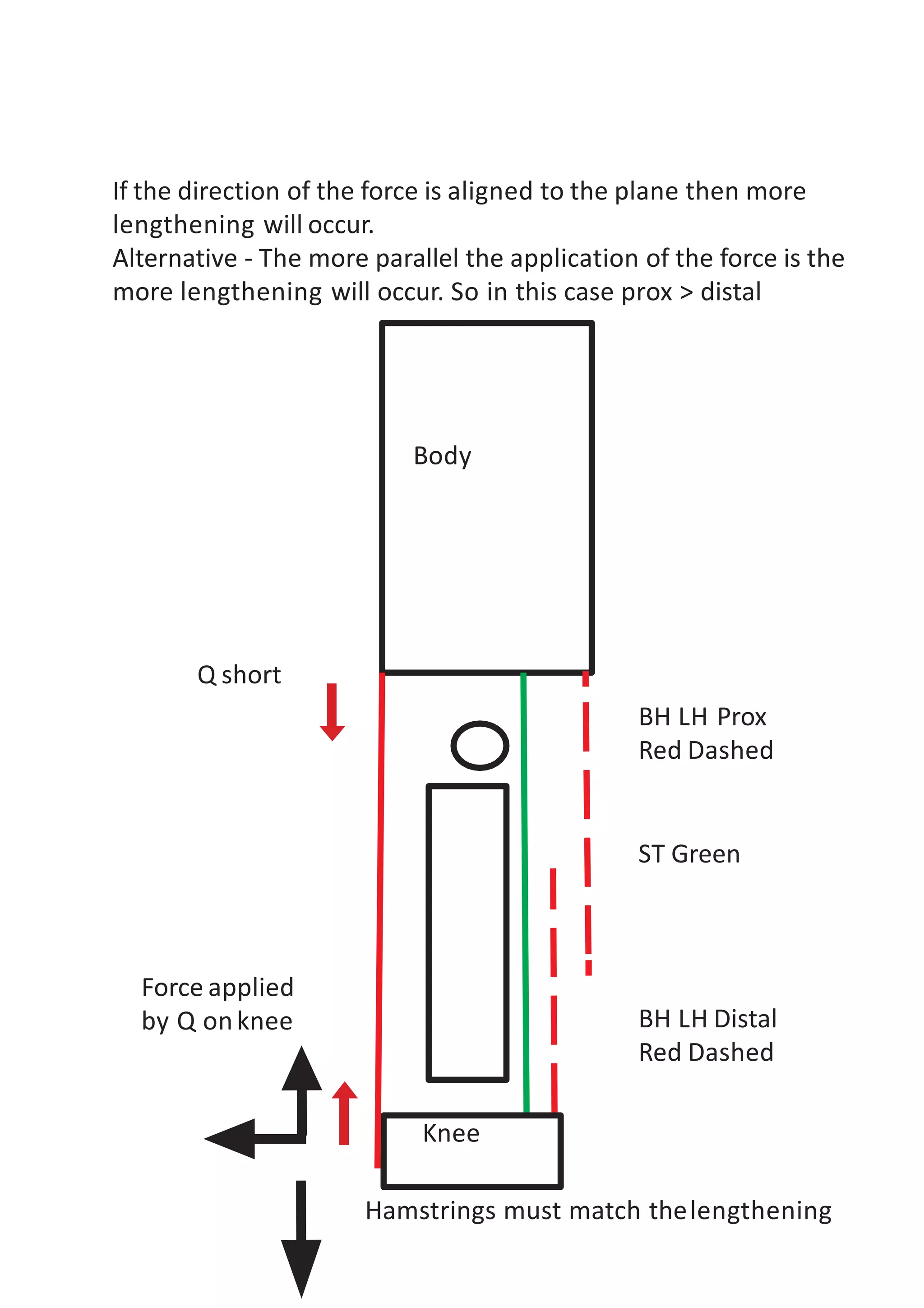 Geoff Verrall Hamstring Injury Symposium presentation part 2 | PDF